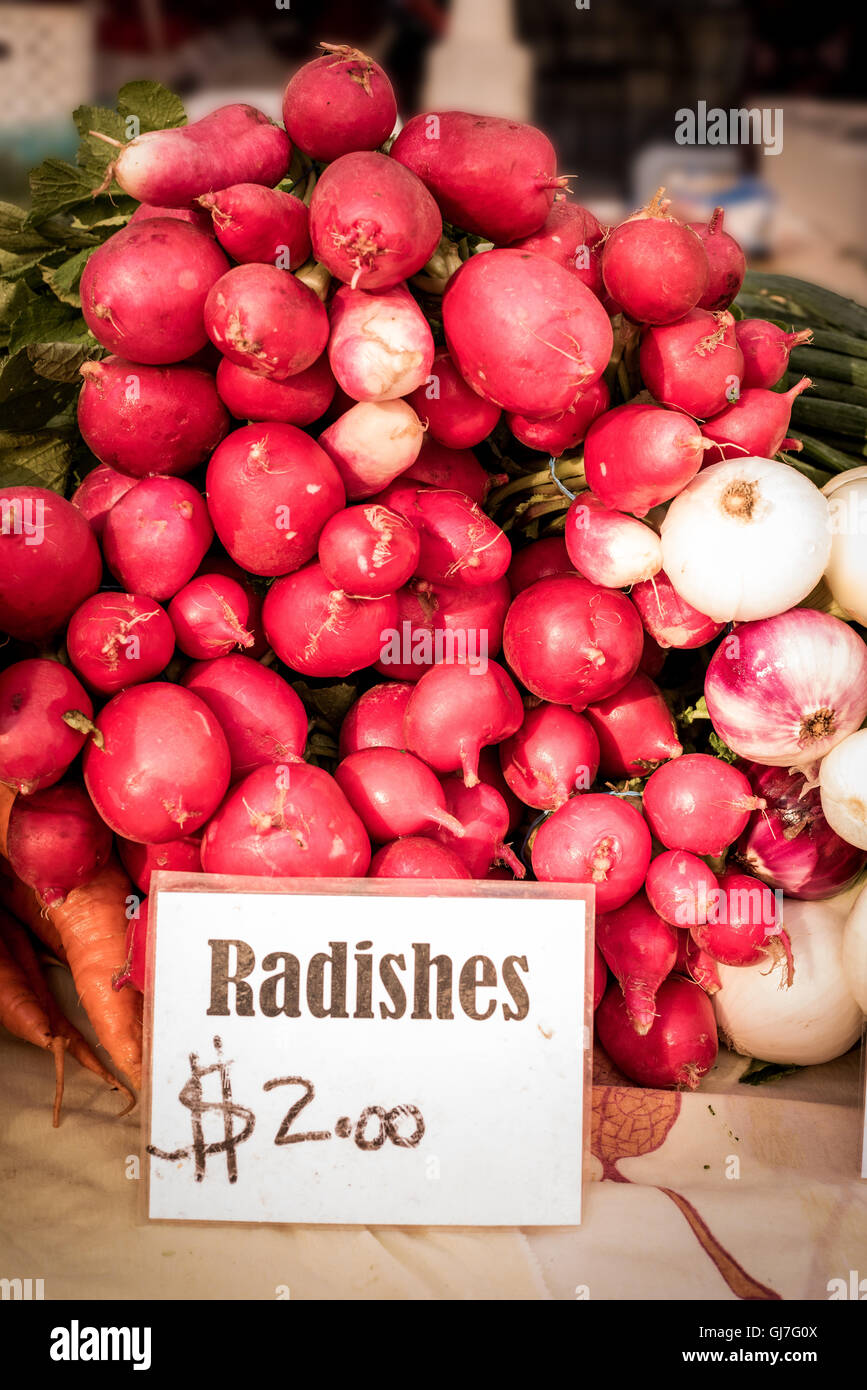 Farm fresh organic Radishes with sign Stock Photo - Alamy