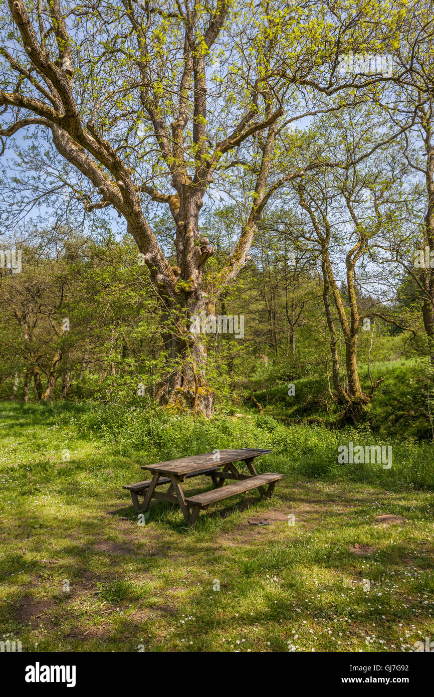 Countryside of britain hi-res stock photography and images - Alamy