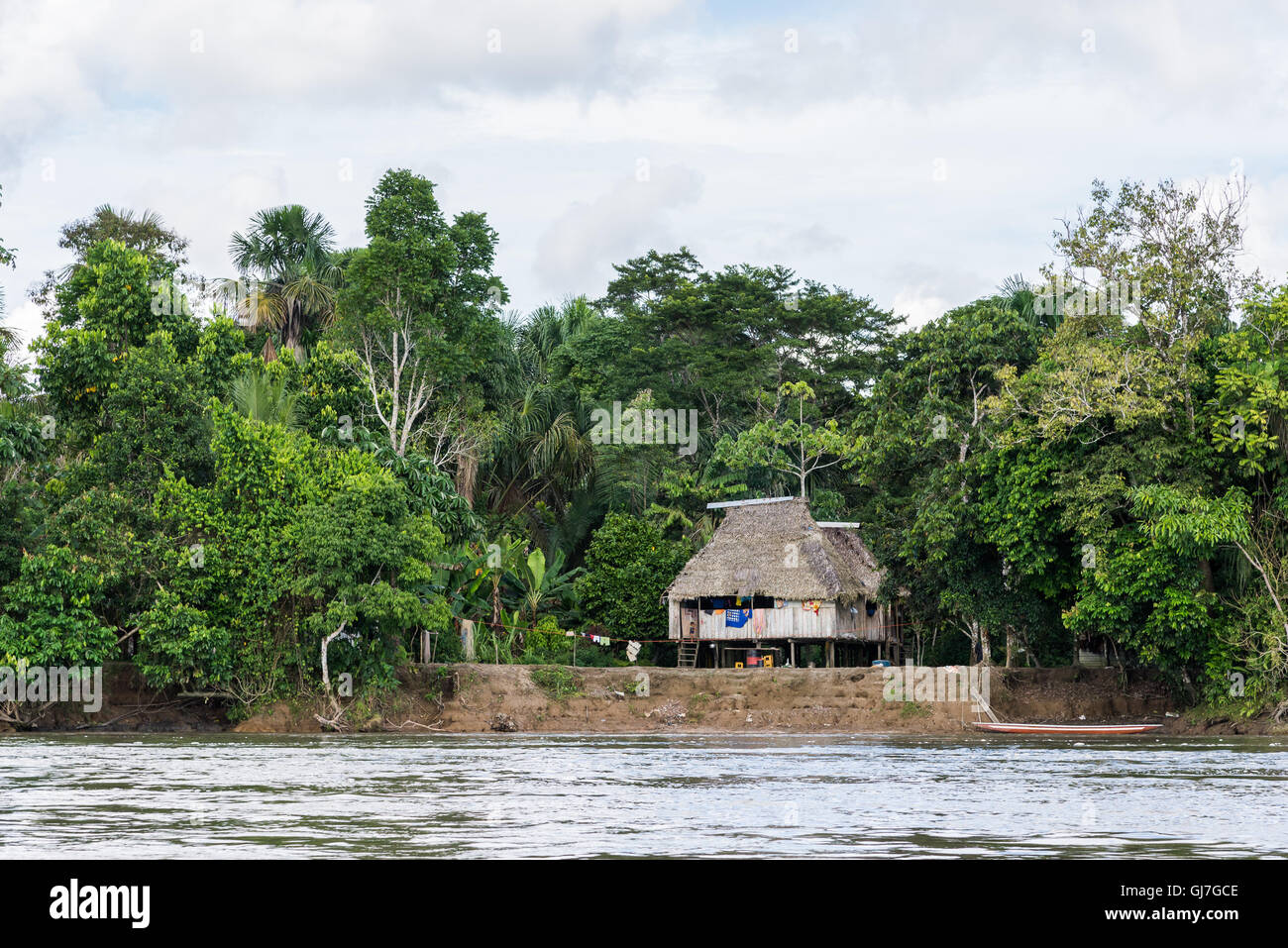 Native people live in grass-top hut by Rio Napo in the Amazons. Ecuador ...
