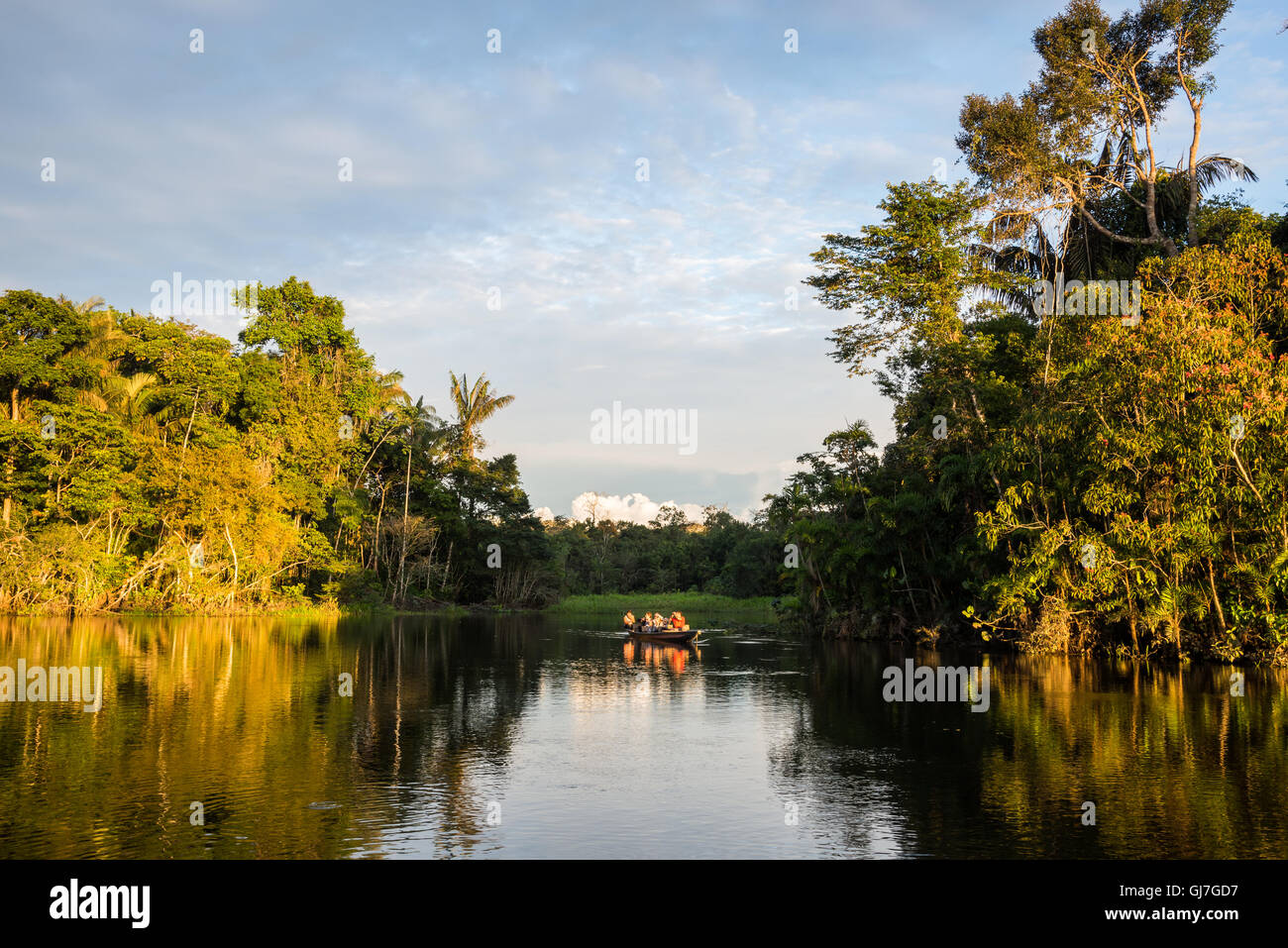Yasuni national park hi-res stock photography and images - Alamy