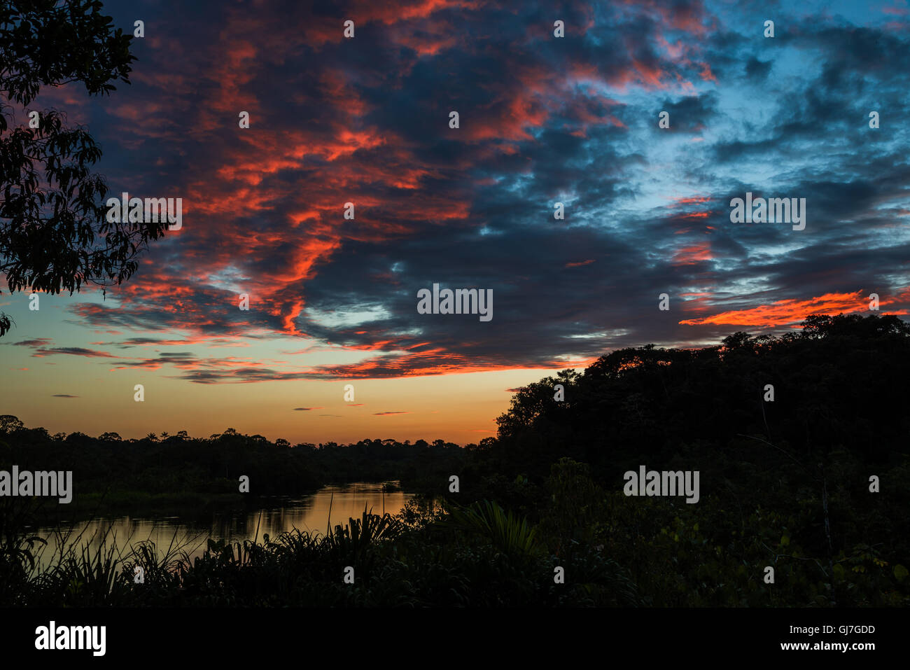 Amazon forest clouds hi-res stock photography and images - Alamy