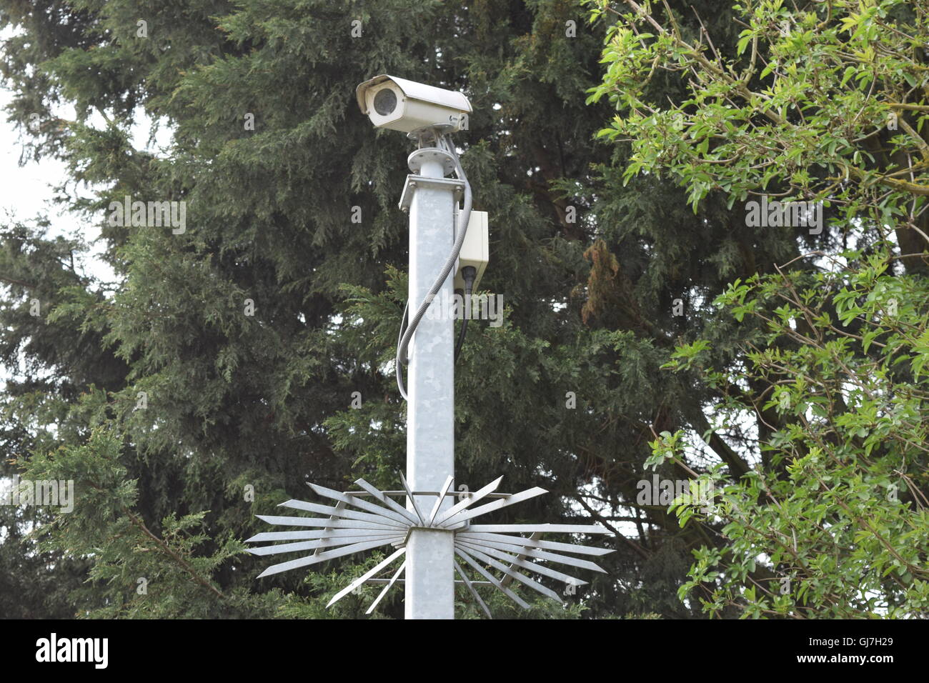 CCTV Street Camera Against Trees Stock Photo - Alamy