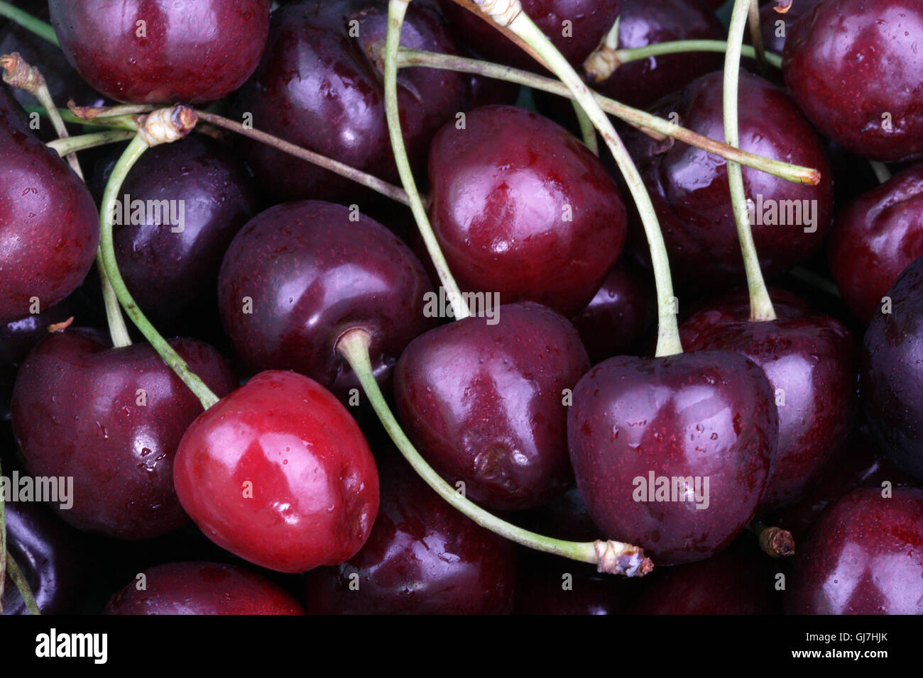 Day cherry hi-res stock photography and images - Alamy