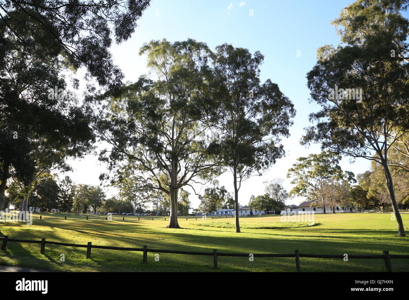 Parramatta Park, Parramatta, western Sydney Stock Photo - Alamy