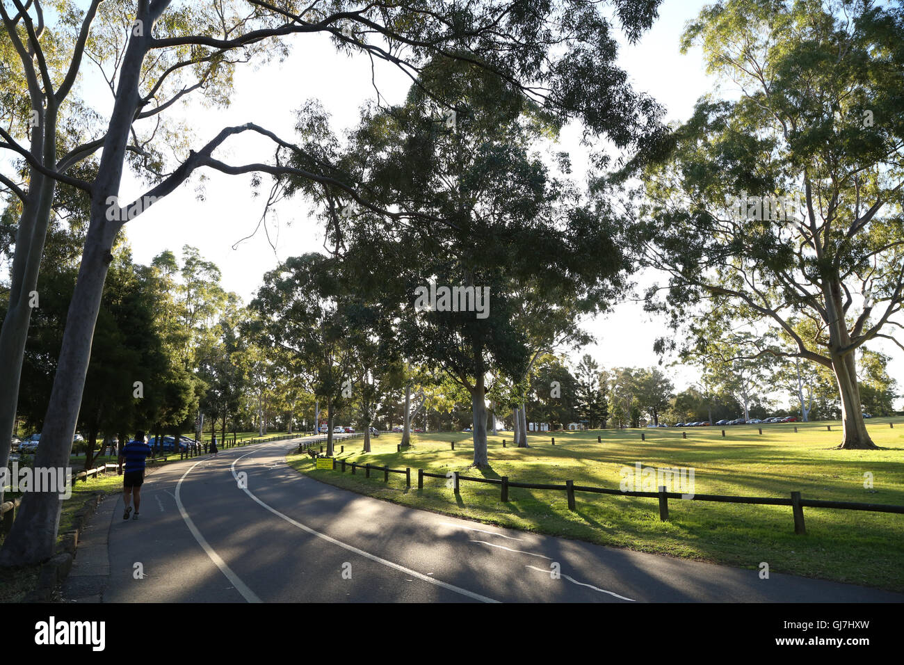 Parramatta Park, Parramatta, western Sydney Stock Photo - Alamy