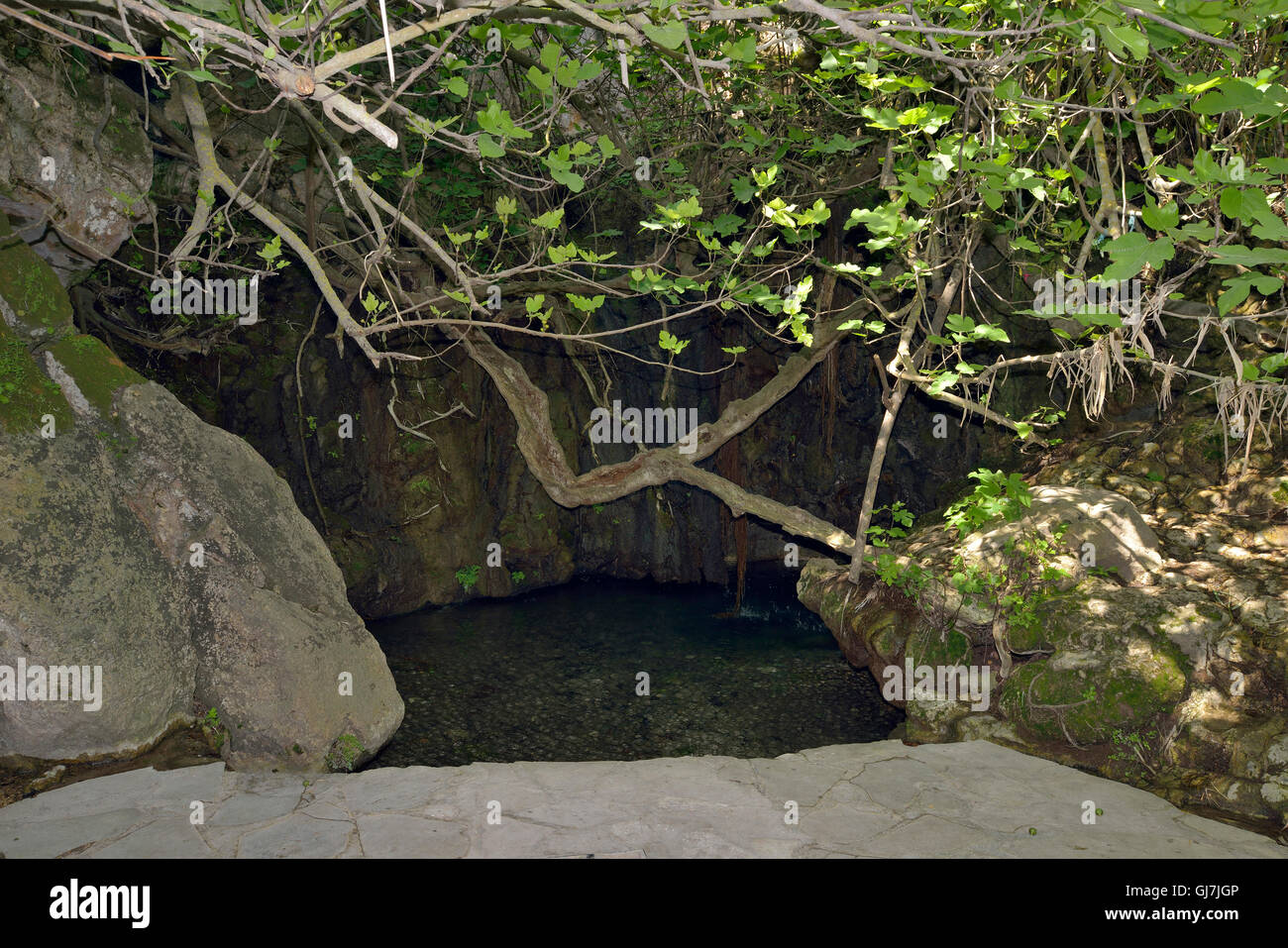 Baths of Aphrodite, spring fed pool on Akamas Peninsula, Cyprus Stock ...