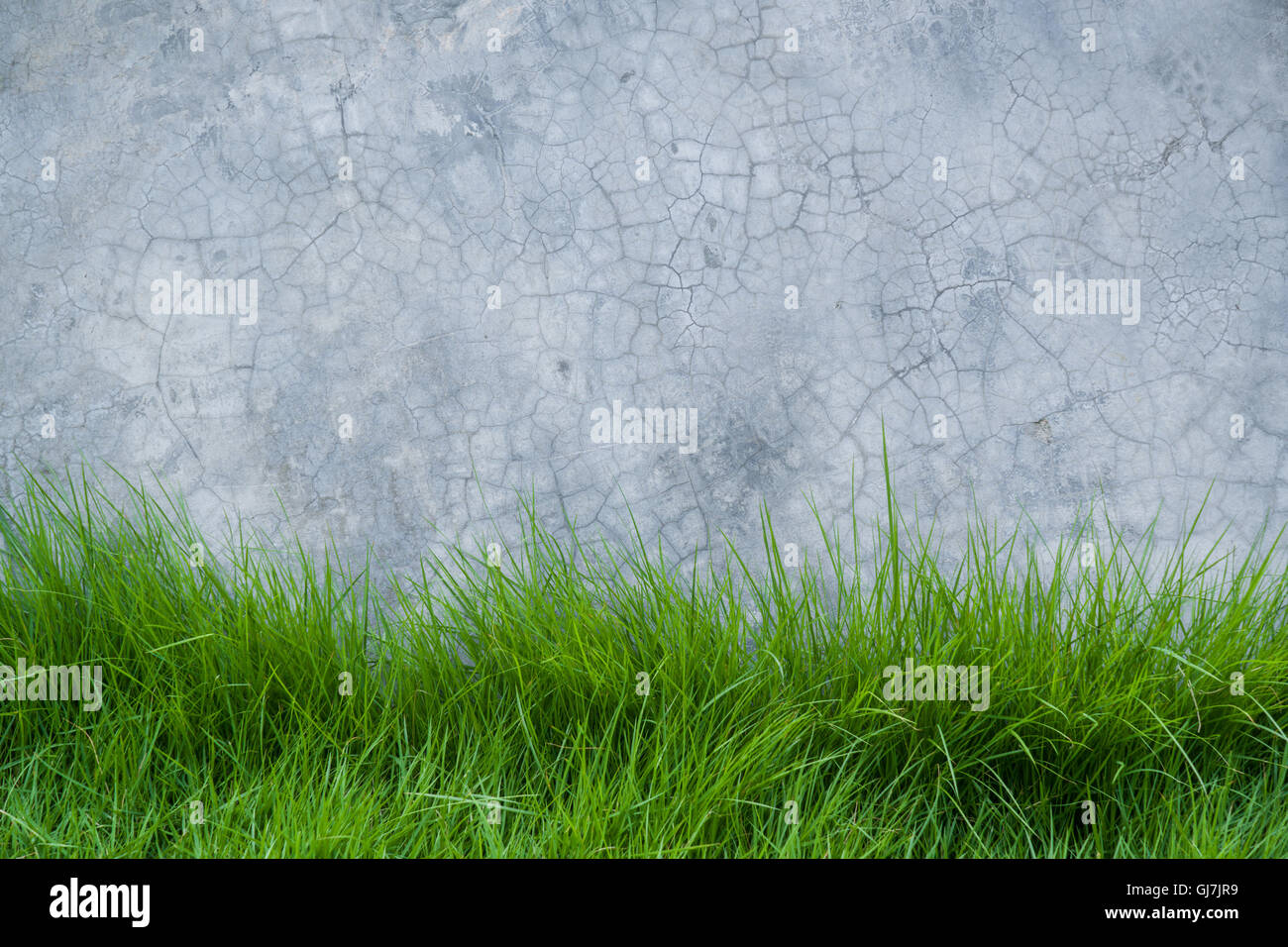 Turf wall hi-res stock photography and images - Alamy