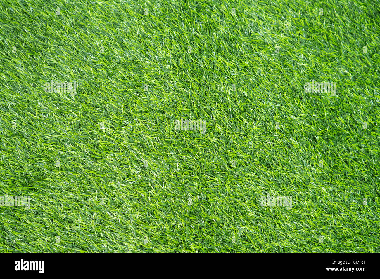 Golf Course Grass Texture