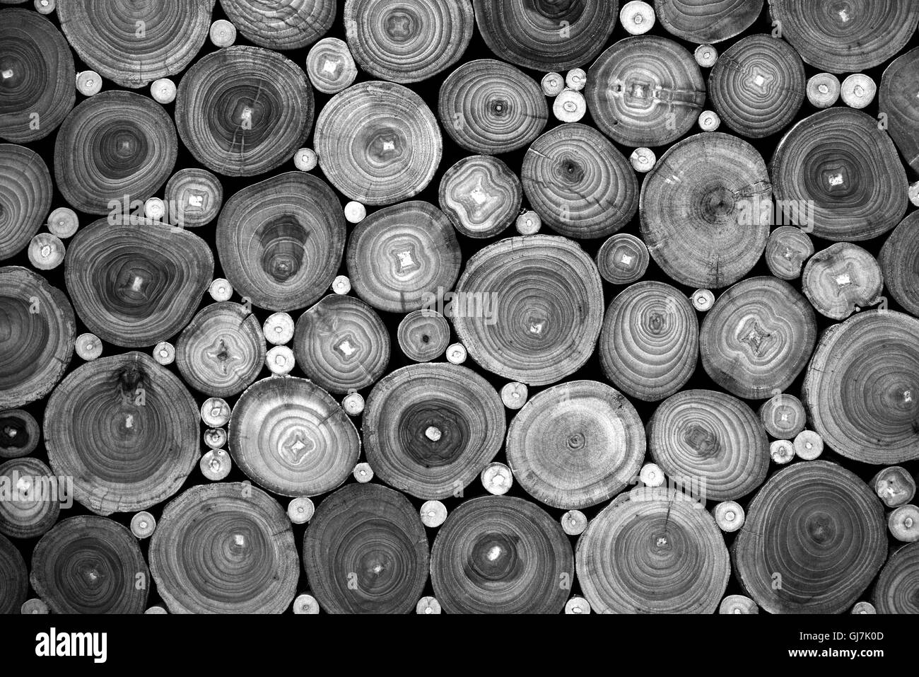 Cross section stacked wood Black and White Stock Photos & Images - Alamy