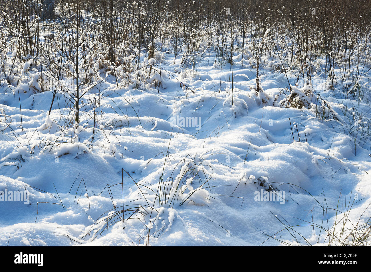 Snow landscape sunny winter weather background Stock Photo - Alamy