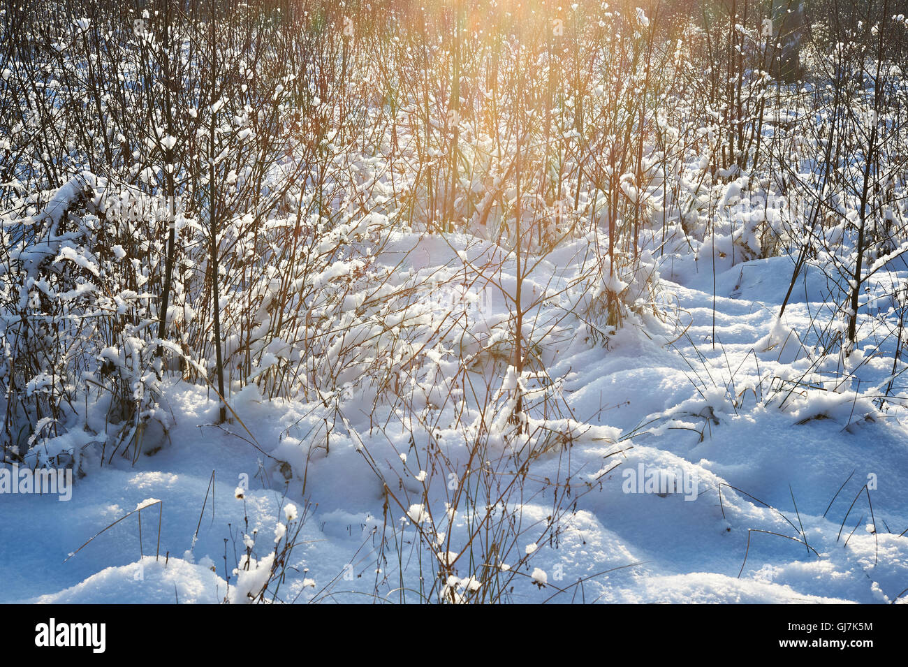 Snow landscape sunny winter weather background Stock Photo - Alamy