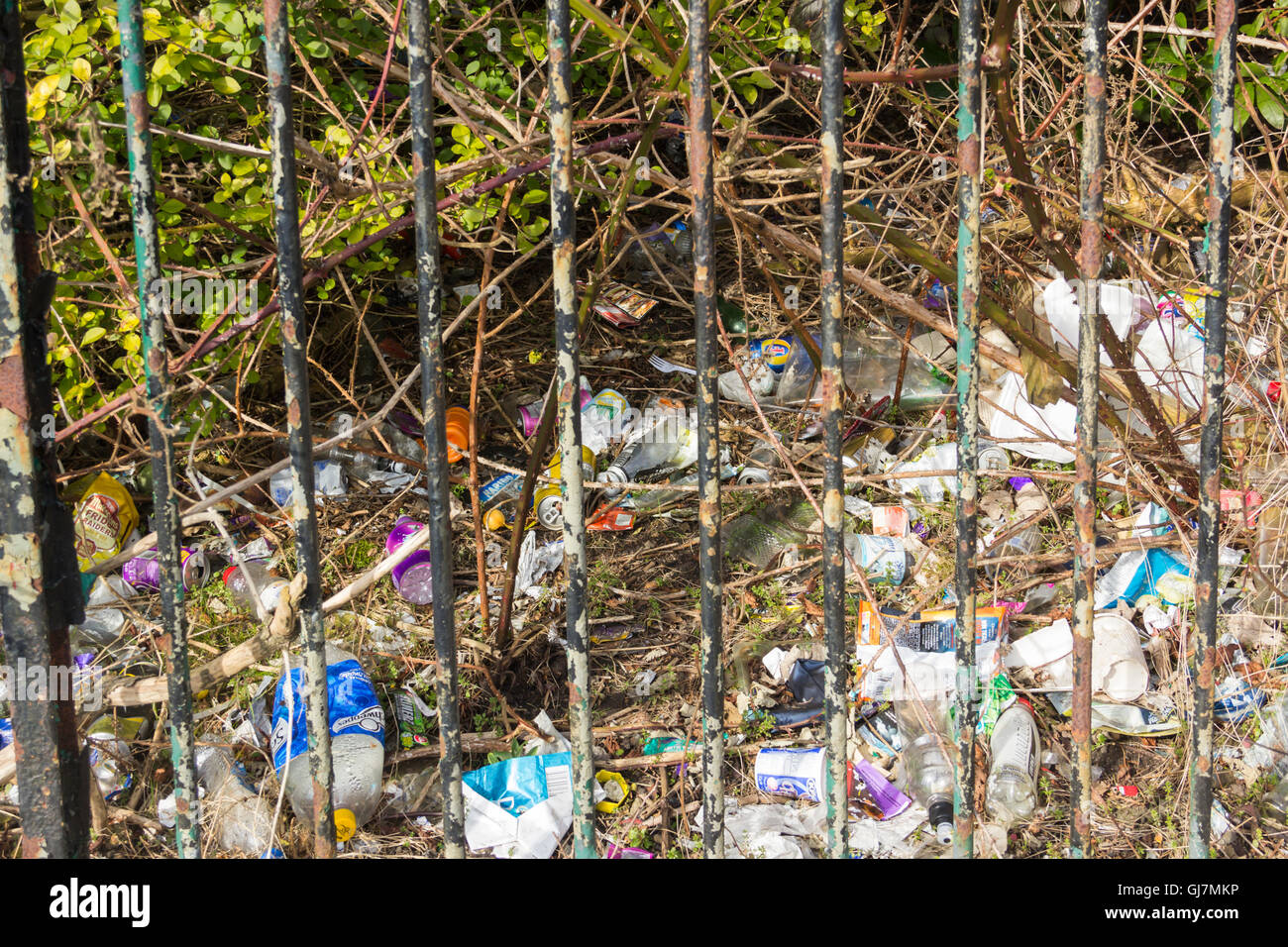 Large amounts of litter spread over an area of spare ground behind an ...