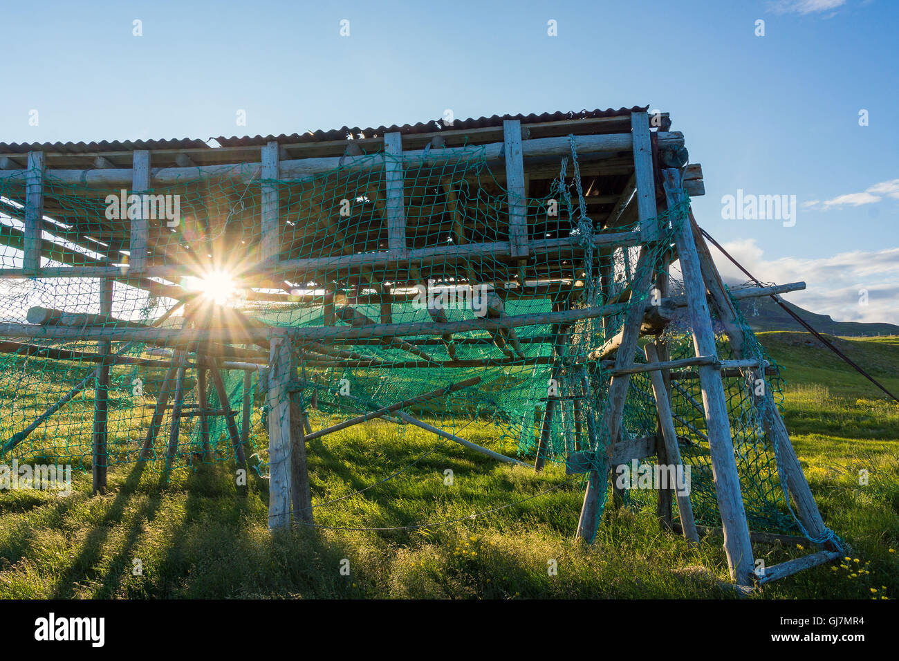 Iceland, Drangsnes, dry fish rack Stock Photo - Alamy
