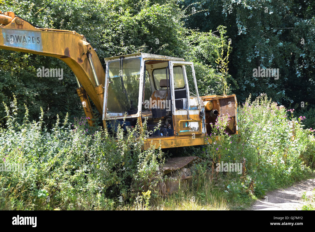 Mechanical digger forest hi-res stock photography and images - Alamy