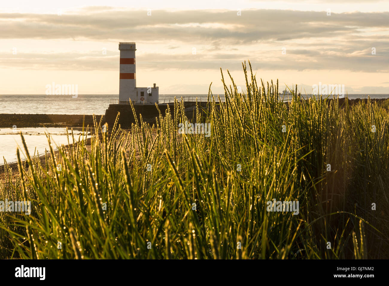 Iceland, Gardskagi with old lighthouse Stock Photo - Alamy