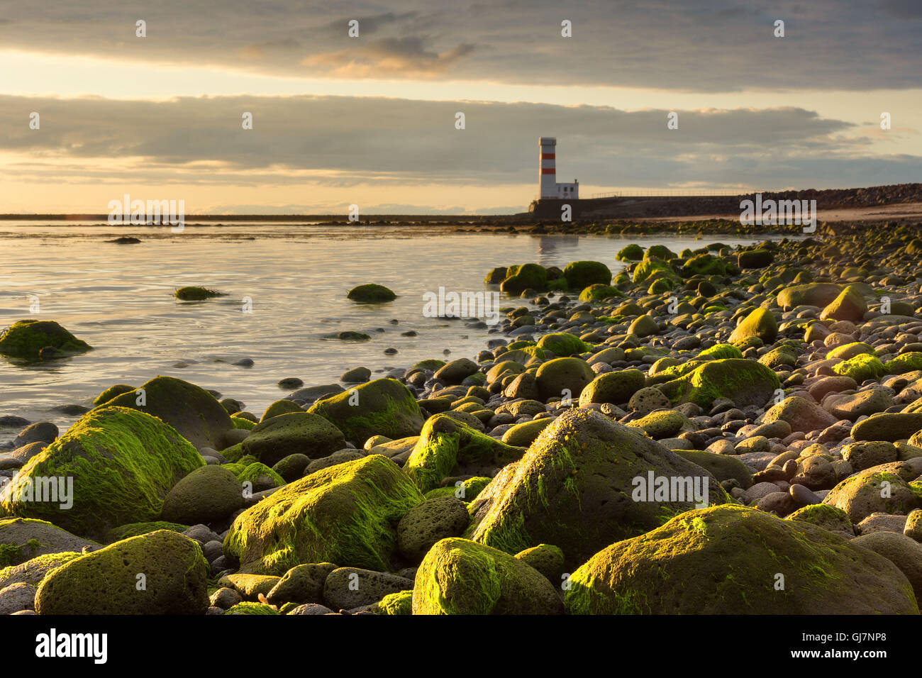 Iceland, Gardskagi, lighthouse, evening light Stock Photo - Alamy