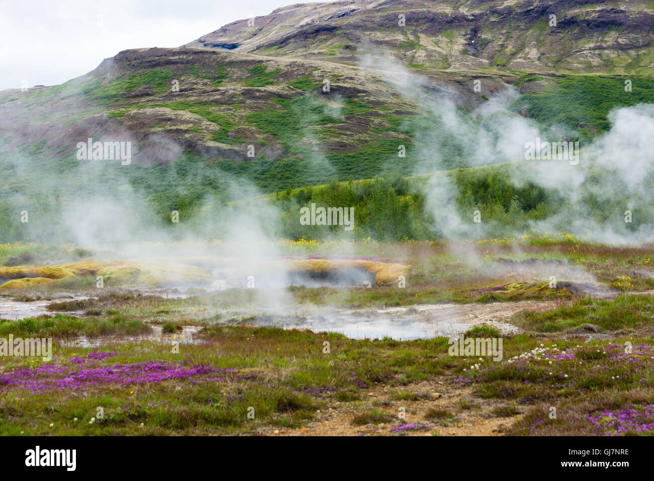 Iceland, Geothermal field, geyser Stock Photo - Alamy