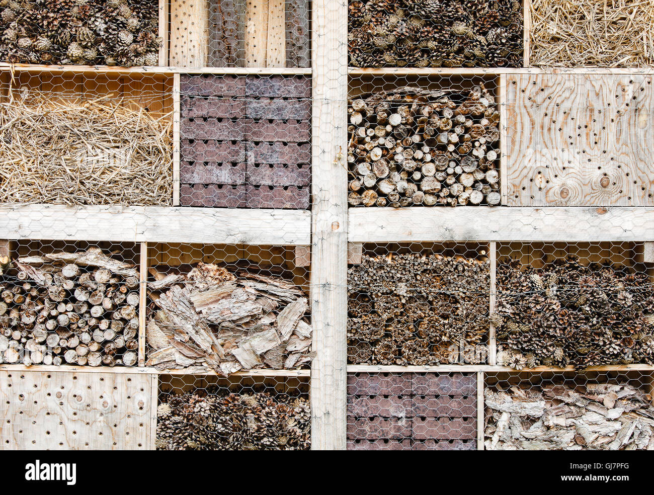 shelter for insects Stock Photo - Alamy