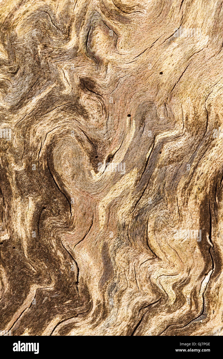artwork made of nature, Natural texture, wooden Stock Photo - Alamy