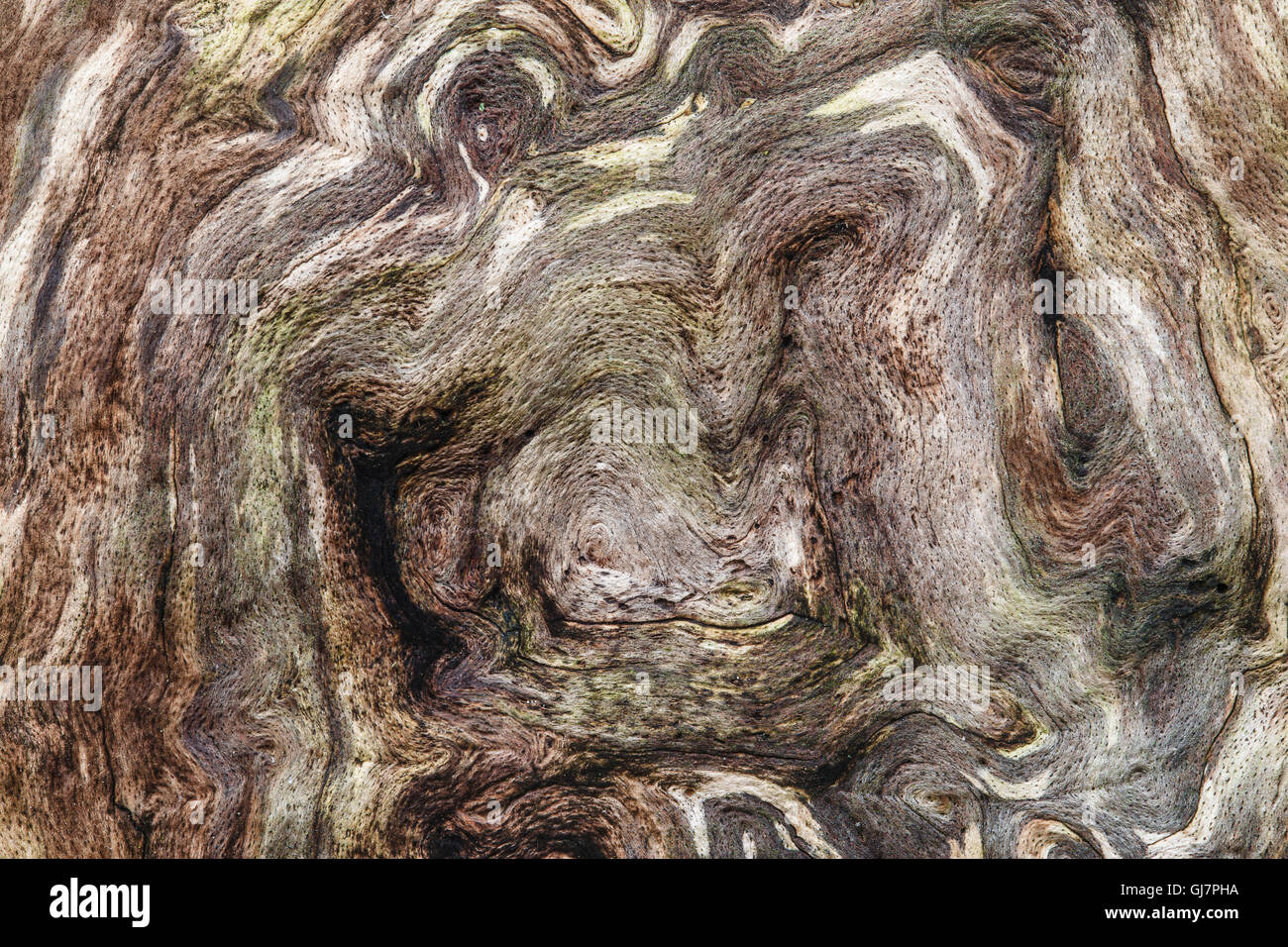 artwork made of nature, Natural texture, wooden Stock Photo - Alamy