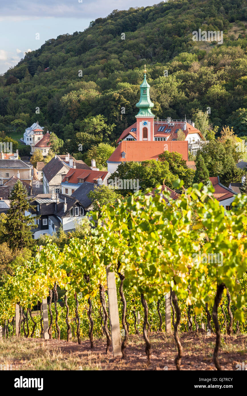 19th district of vienna hi-res stock photography and images - Alamy