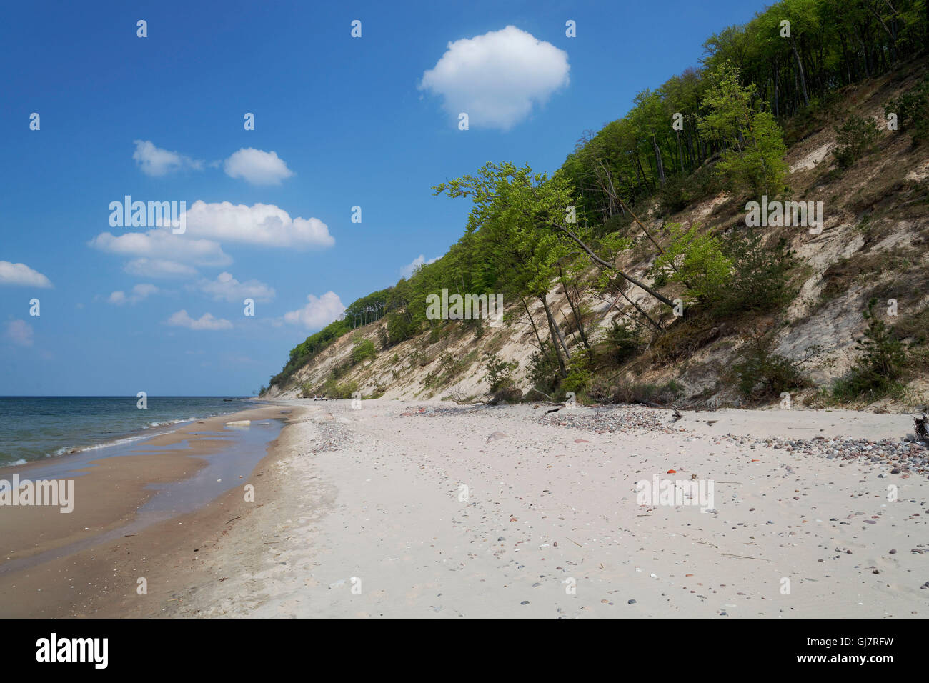Beach and steep coast on the Baltic Sea in the Wolin National Park ...