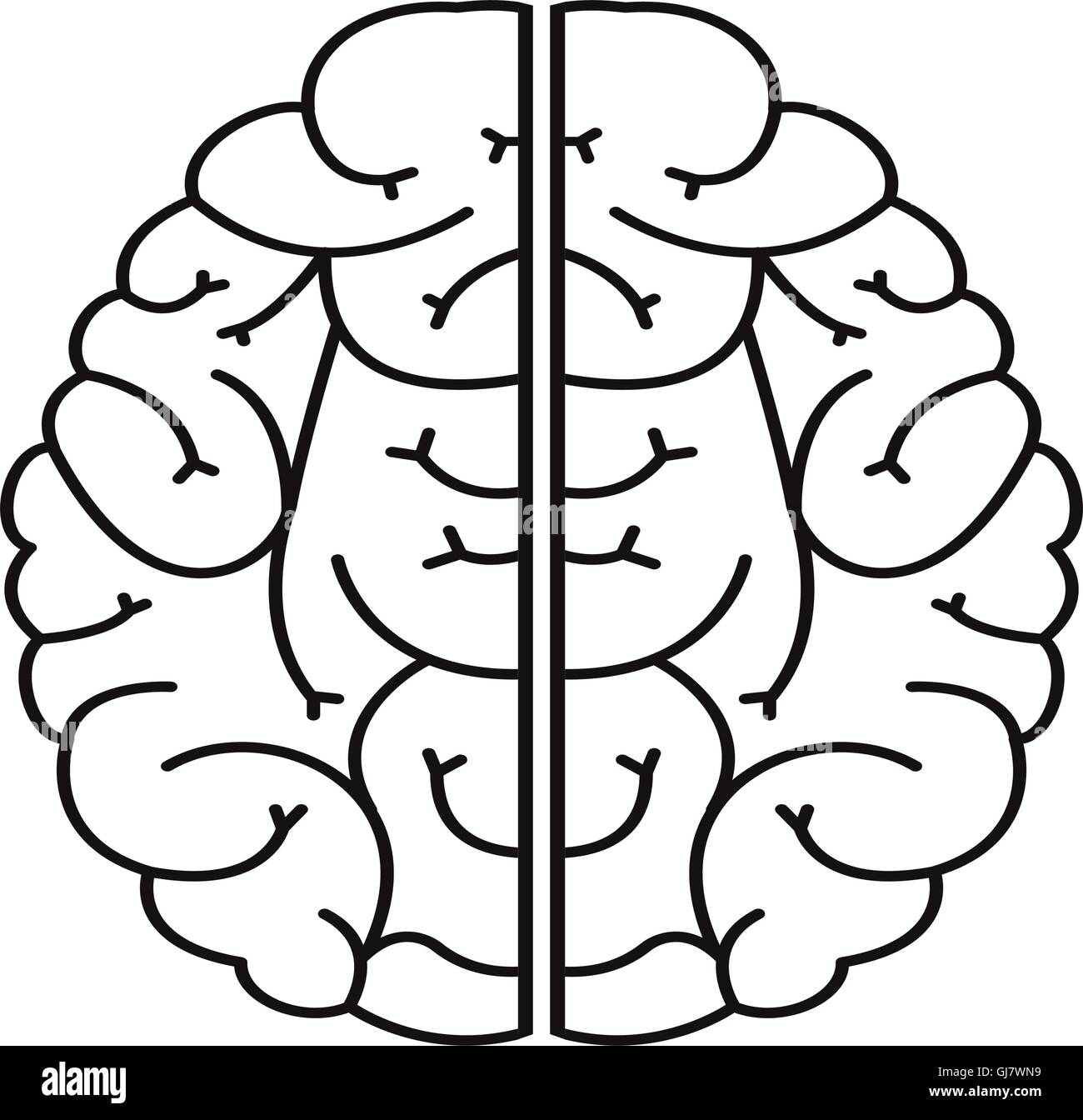 human brain cartoon icon Stock Vector Image & Art - Alamy