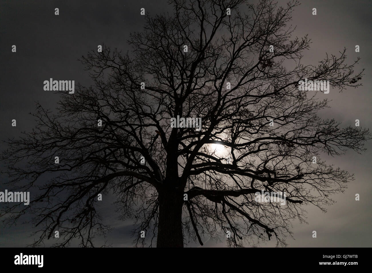 image series of a full moon night in November Stock Photo - Alamy