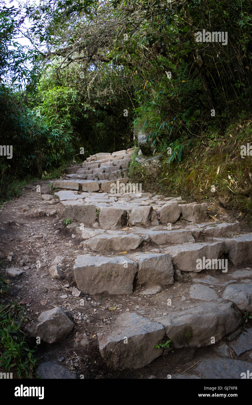 Stone path with steep inclines making its way to the top of Machu Pichu ...