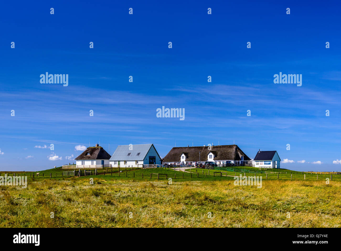 Germany, Schleswig-Holstein, North Frisia, Reußenköge, Hamburger Hallig ...