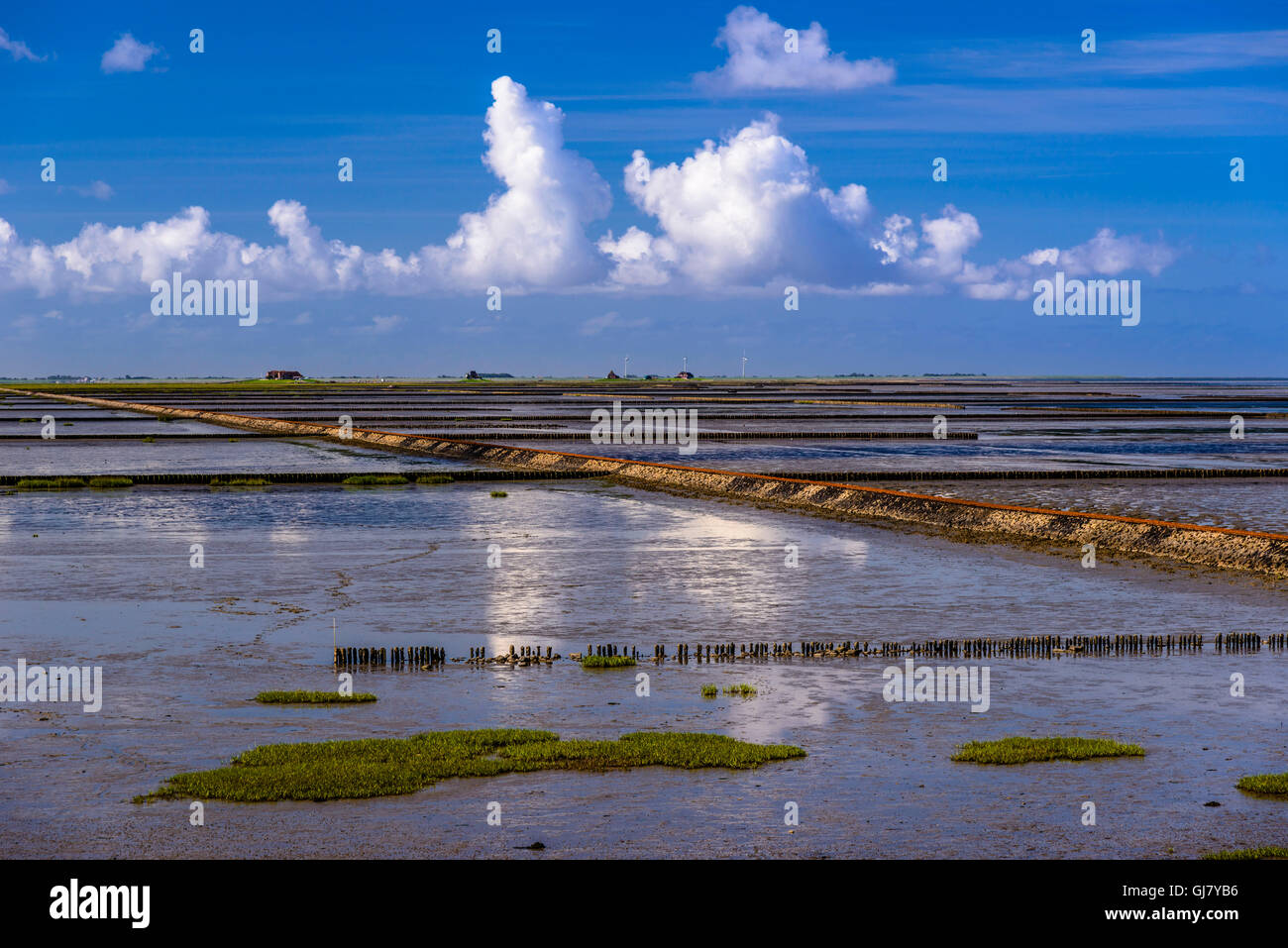 Halligbahn hi-res stock photography and images - Alamy