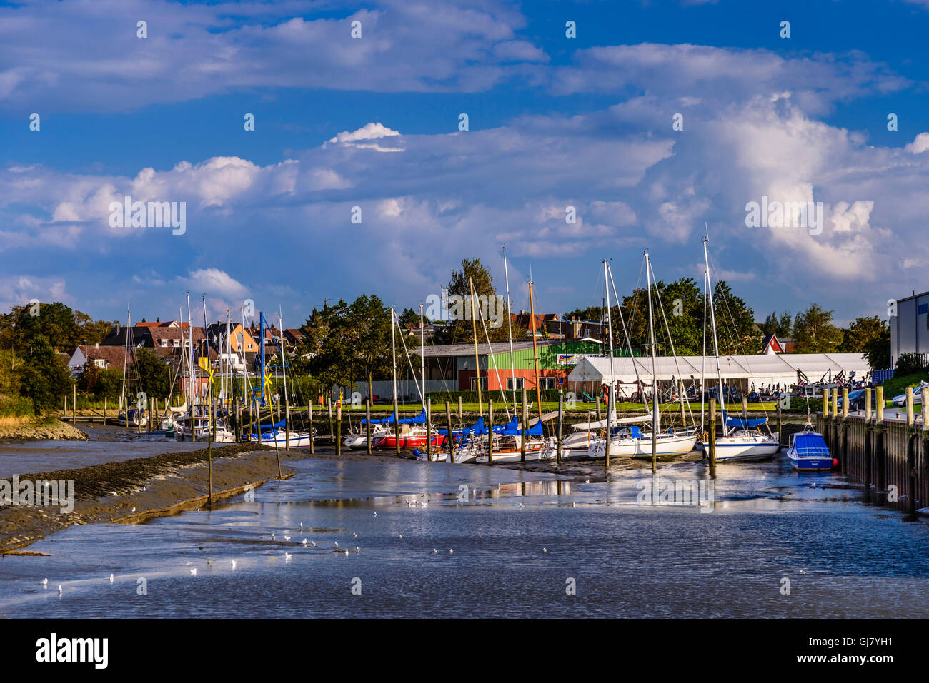 Germany, Schleswig-Holstein, North Frisia, 'Husumer Bucht' (bay), Husum ...