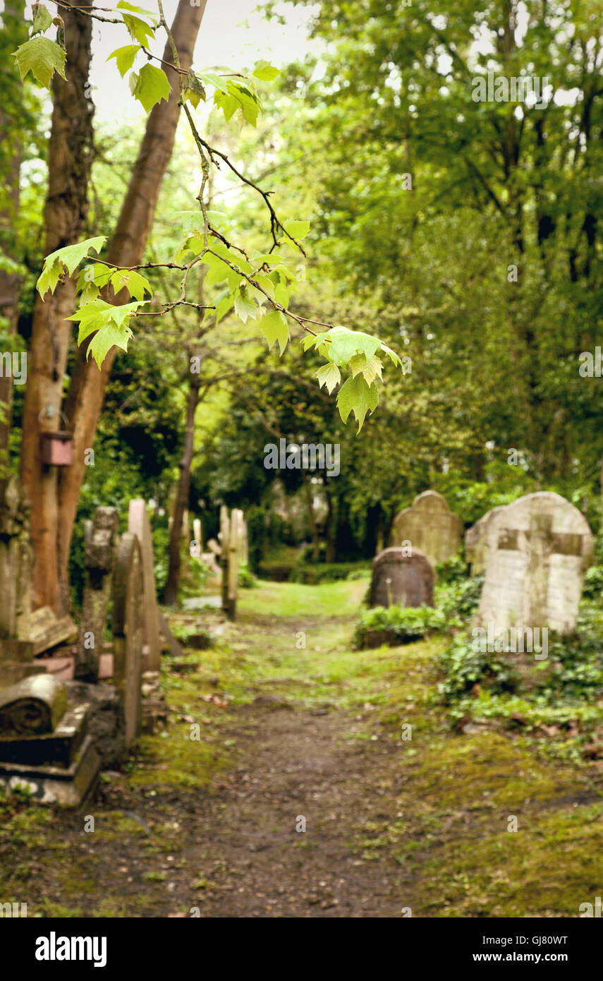 Cemetery, gravestone, memory, trees Stock Photo - Alamy