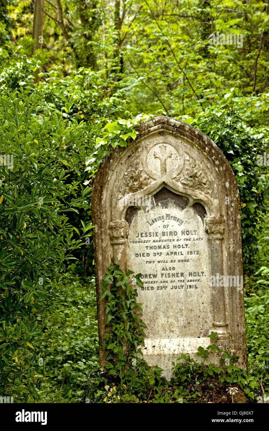 Cemetery, gravestone, memory, trees Stock Photo - Alamy