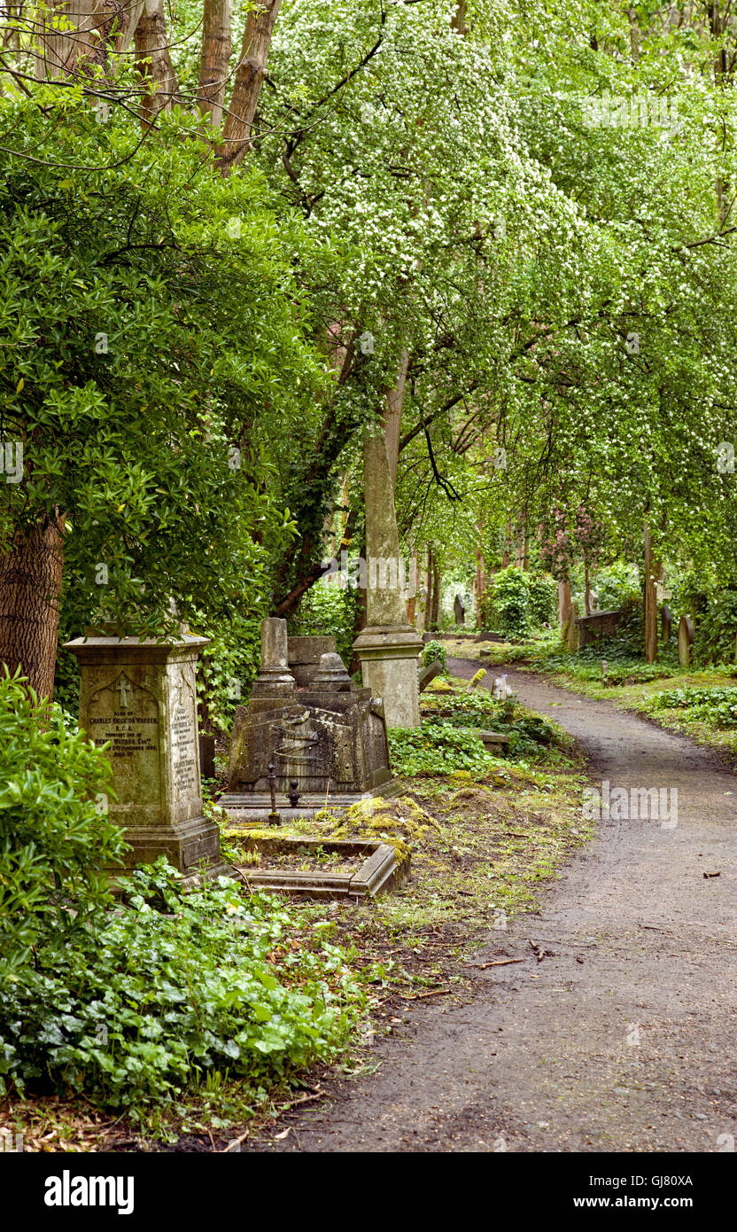 Cemetery, gravestone, memory, trees Stock Photo - Alamy