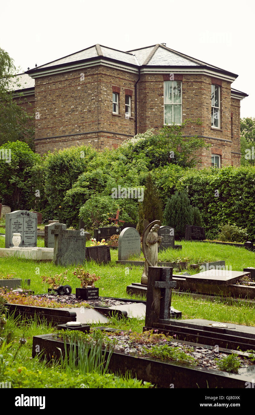 Cemetery, gravestone, memory, plants Stock Photo - Alamy