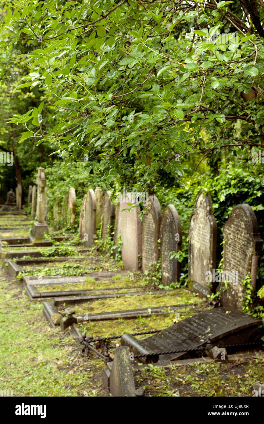 Cemetery, gravestone, memory, trees Stock Photo - Alamy
