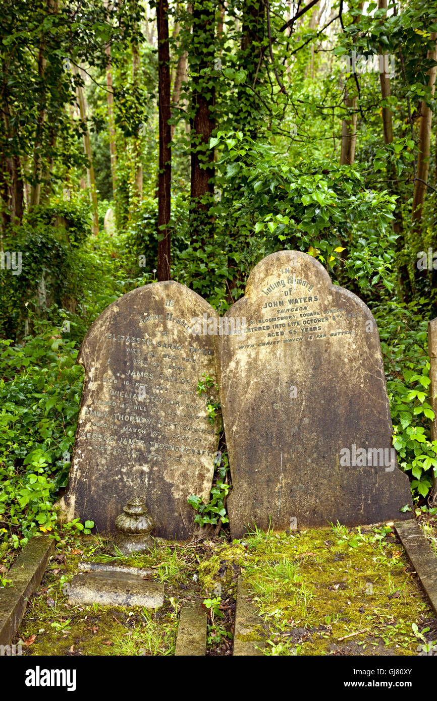Cemetery, gravestone, memory, trees Stock Photo - Alamy