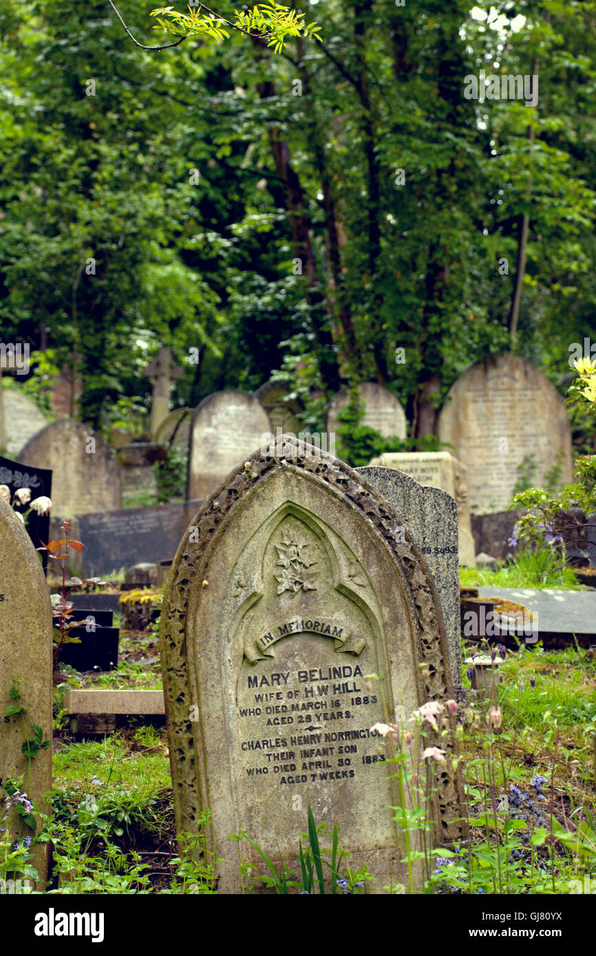 Cemetery, gravestone, memory, trees Stock Photo - Alamy