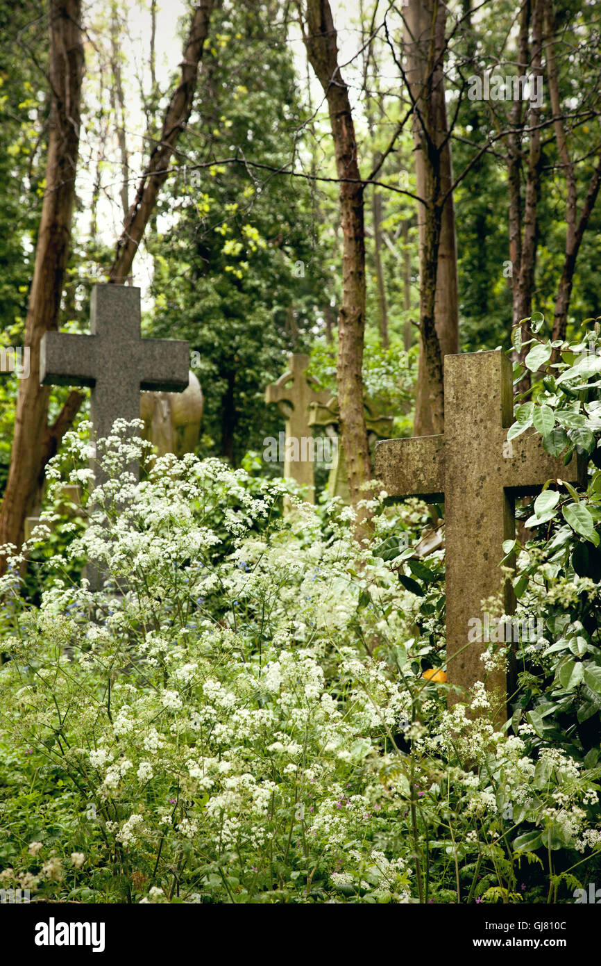 Cemetery, gravestone, memory, trees Stock Photo - Alamy