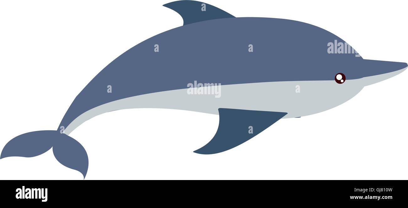 dolphin cute animal sea little icon Stock Vector Image & Art - Alamy