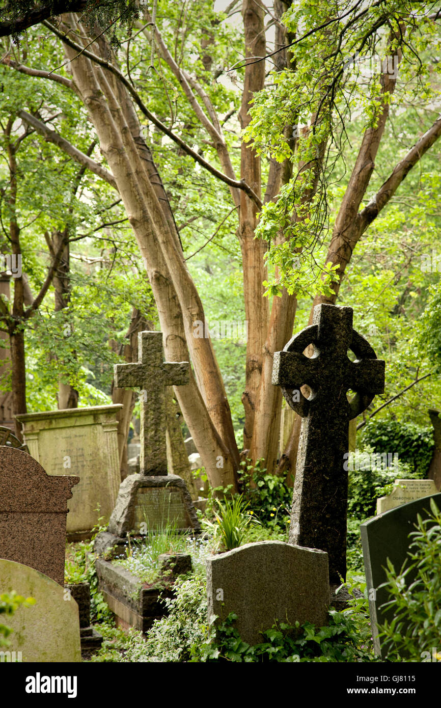 Cemetery, gravestone, memory, trees Stock Photo - Alamy