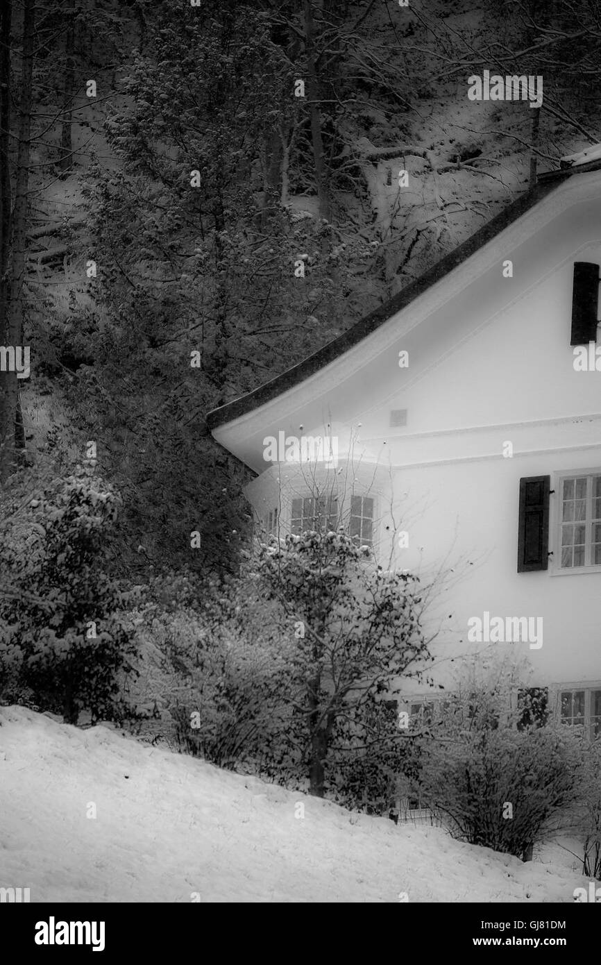 Format forest Black and White Stock Photos & Images - Alamy