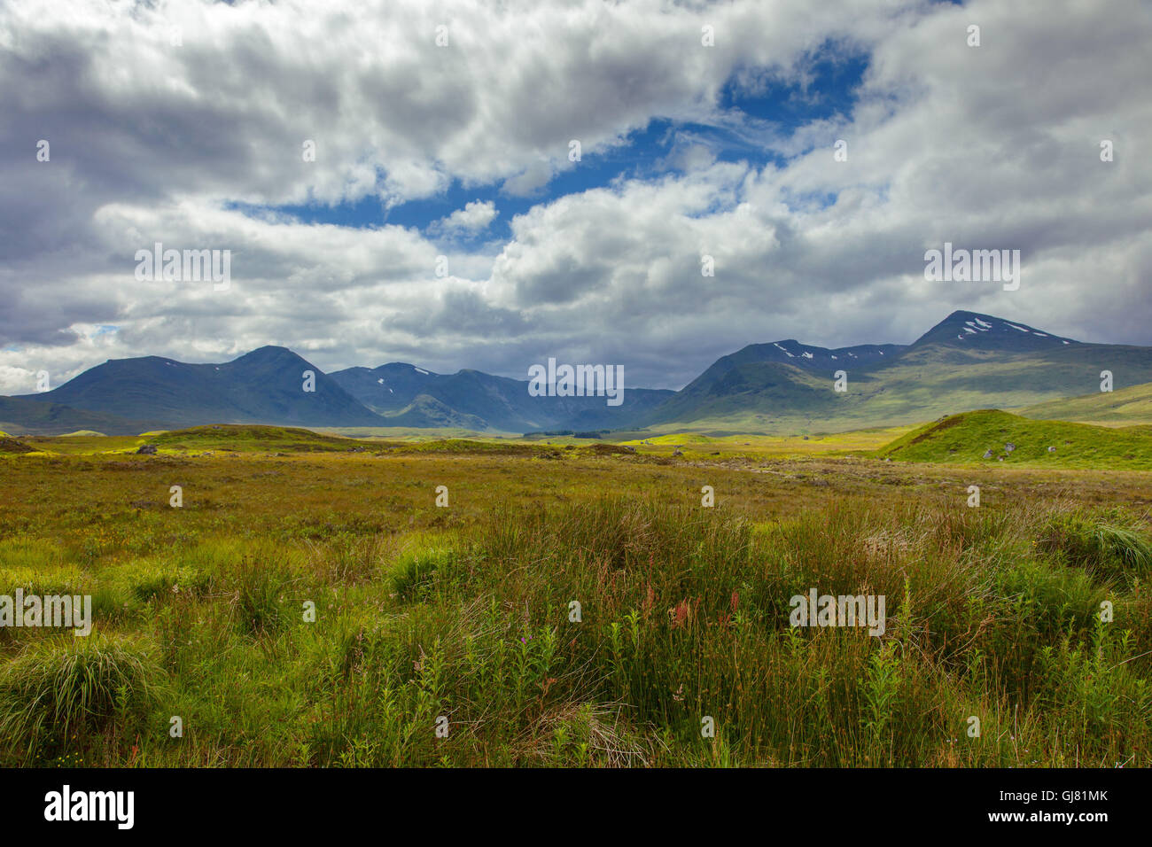 Summer, meadow, mountains, Loch Tulla Viewpoint, highlands, Scotland ...
