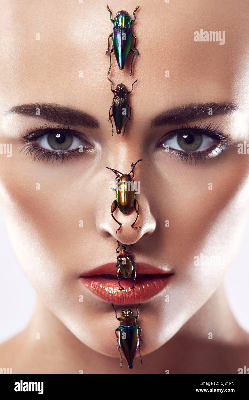 beauty composing picture with beetle, head-on view Stock Photo - Alamy