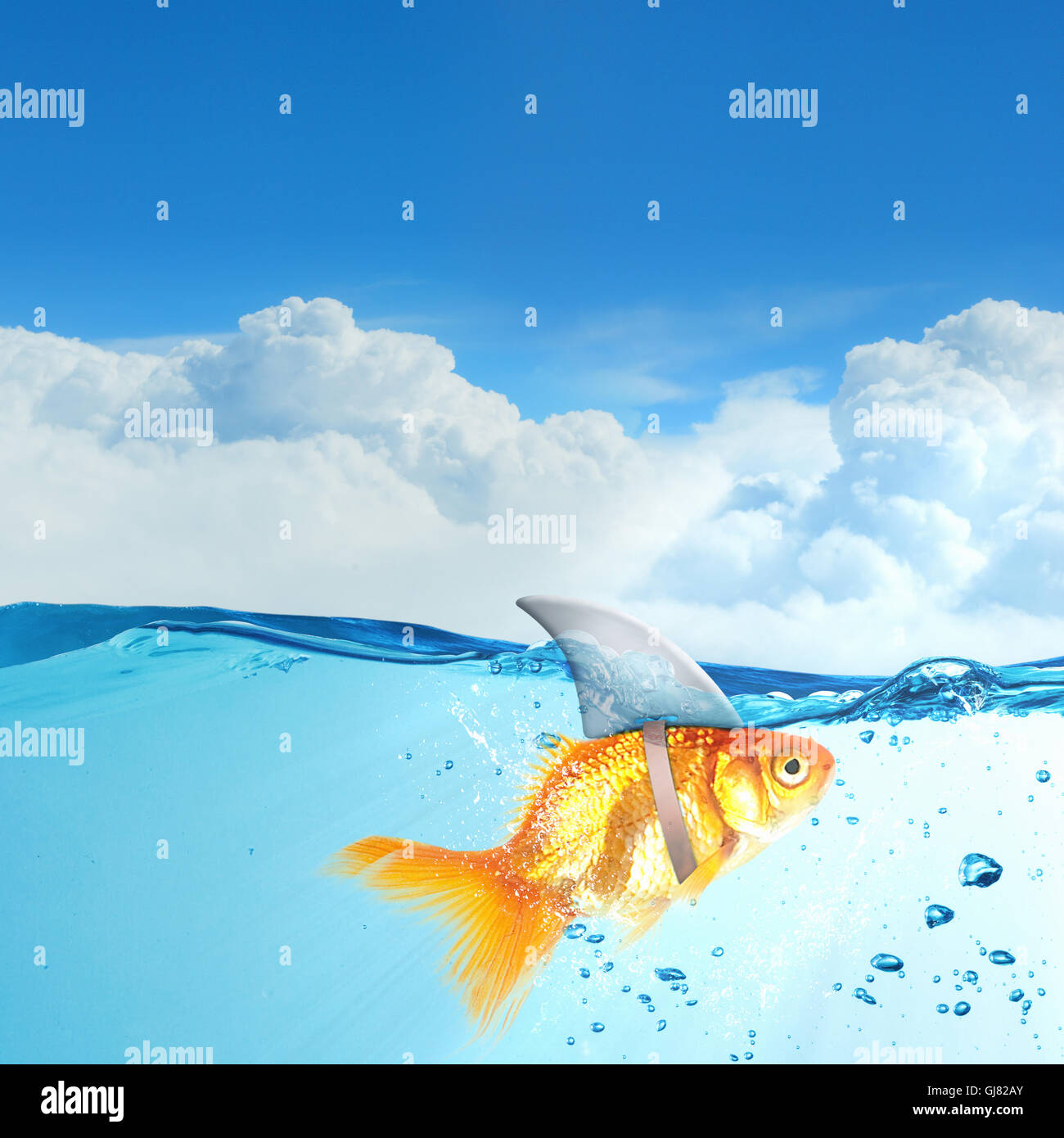 Big shark small fish hi-res stock photography and images - Alamy