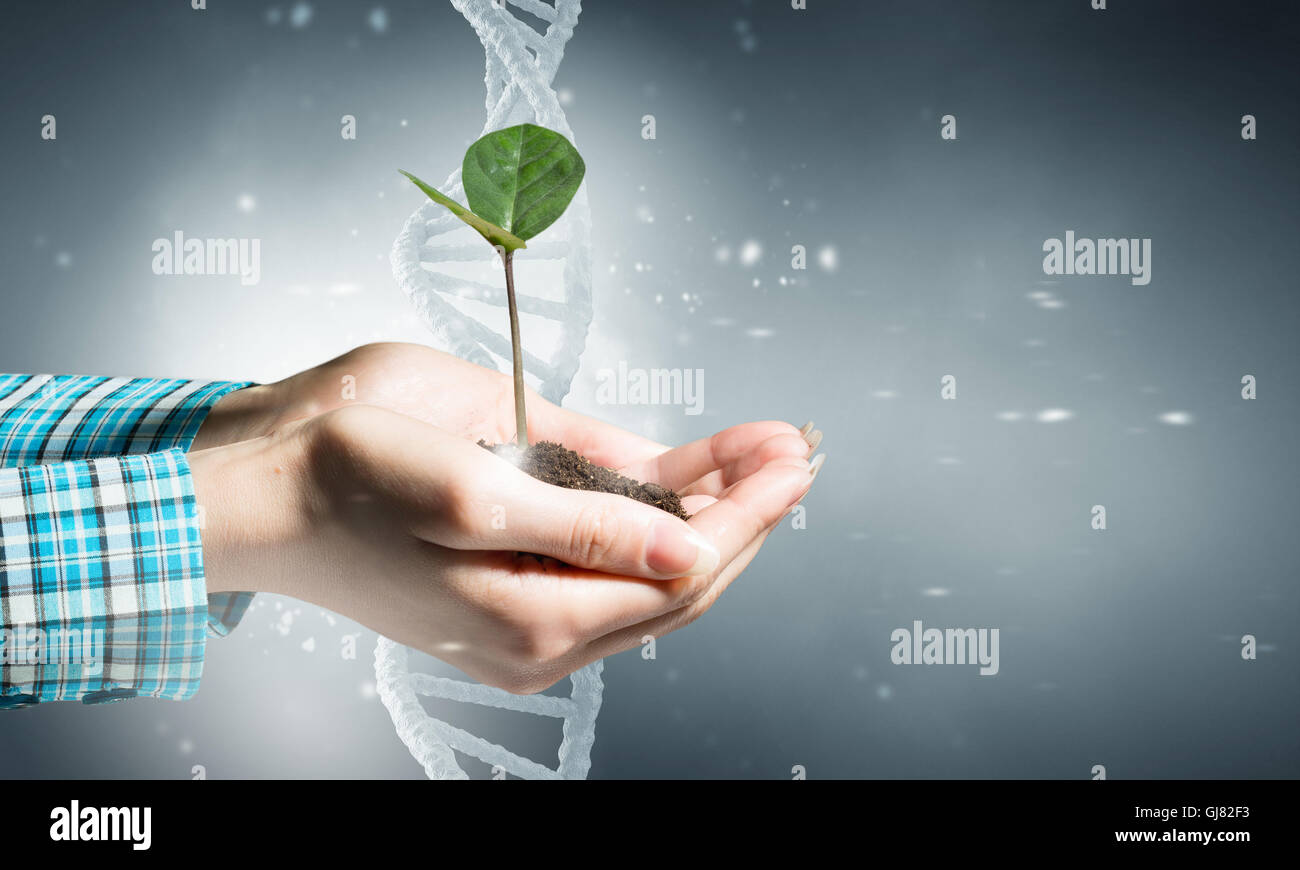 Nature and technology interaction . Mixed media Stock Photo - Alamy