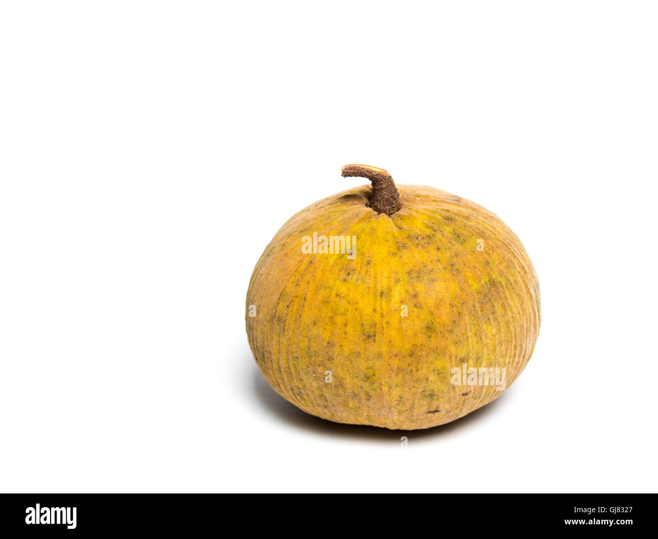 Santol fruit on white isolate background Stock Photo - Alamy