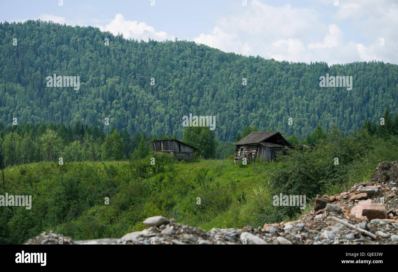 Taiga landscape hi-res stock photography and images - Alamy