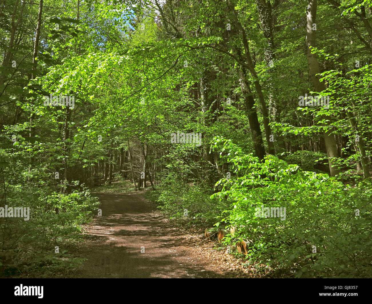 Fünfseenland region, lake, Lake Ammer, Germany, Eching, Bavaria, Upper ...